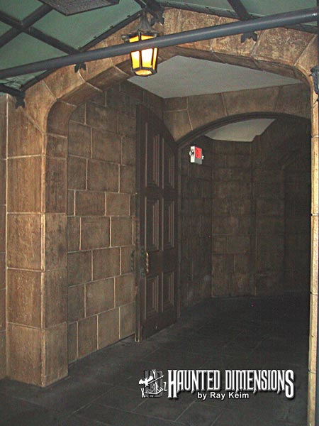 Walt Disney World Haunted Mansion Photos - Ray Keim